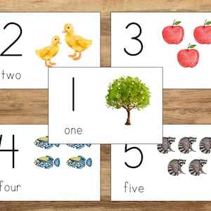 Number Flashcards, Preschool Kindergarten Math, Classroom Decor ...