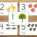 Number Flashcards, Preschool Kindergarten Math, Classroom Decor ...