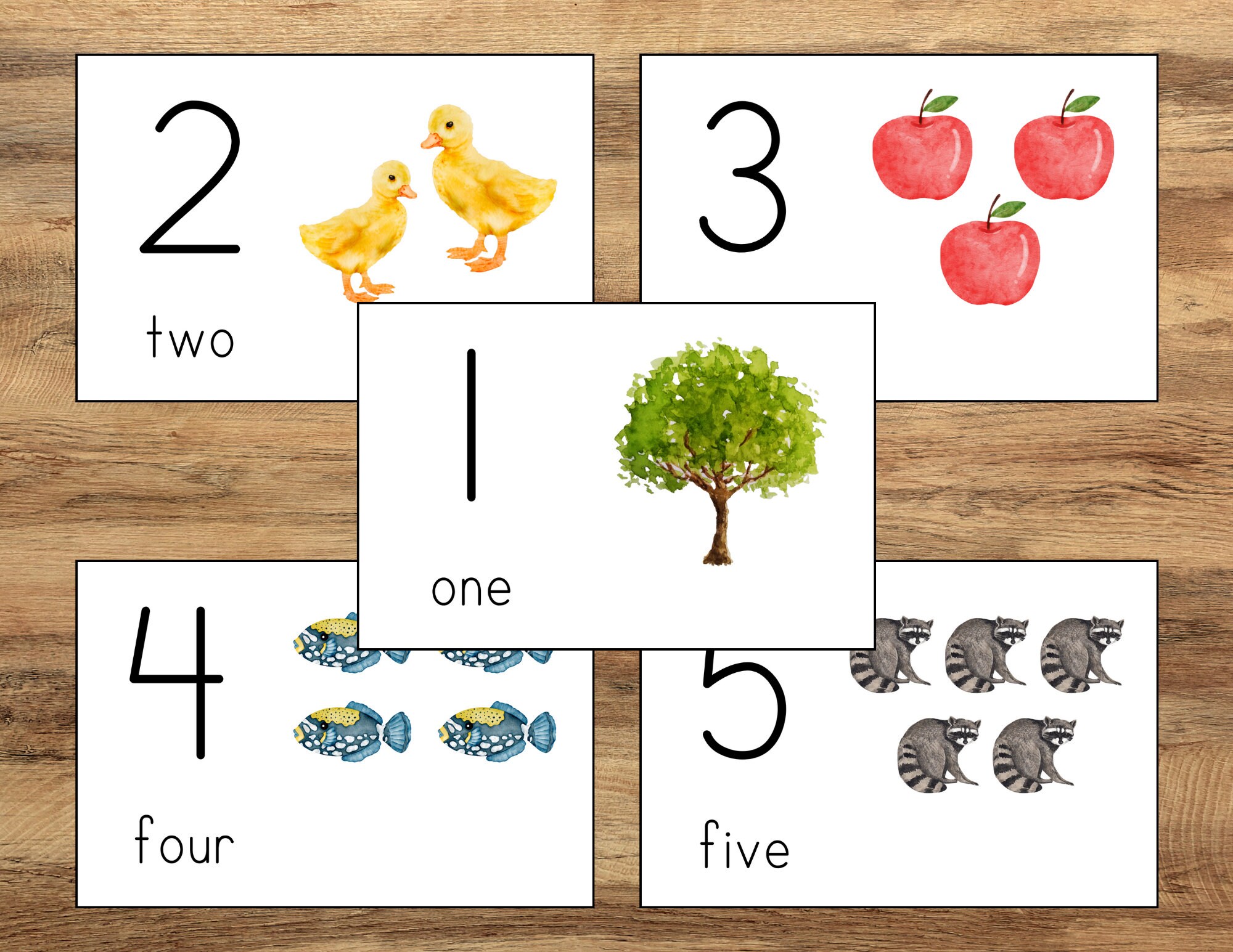 Number Flashcards, Preschool Kindergarten Math, Classroom Decor ...