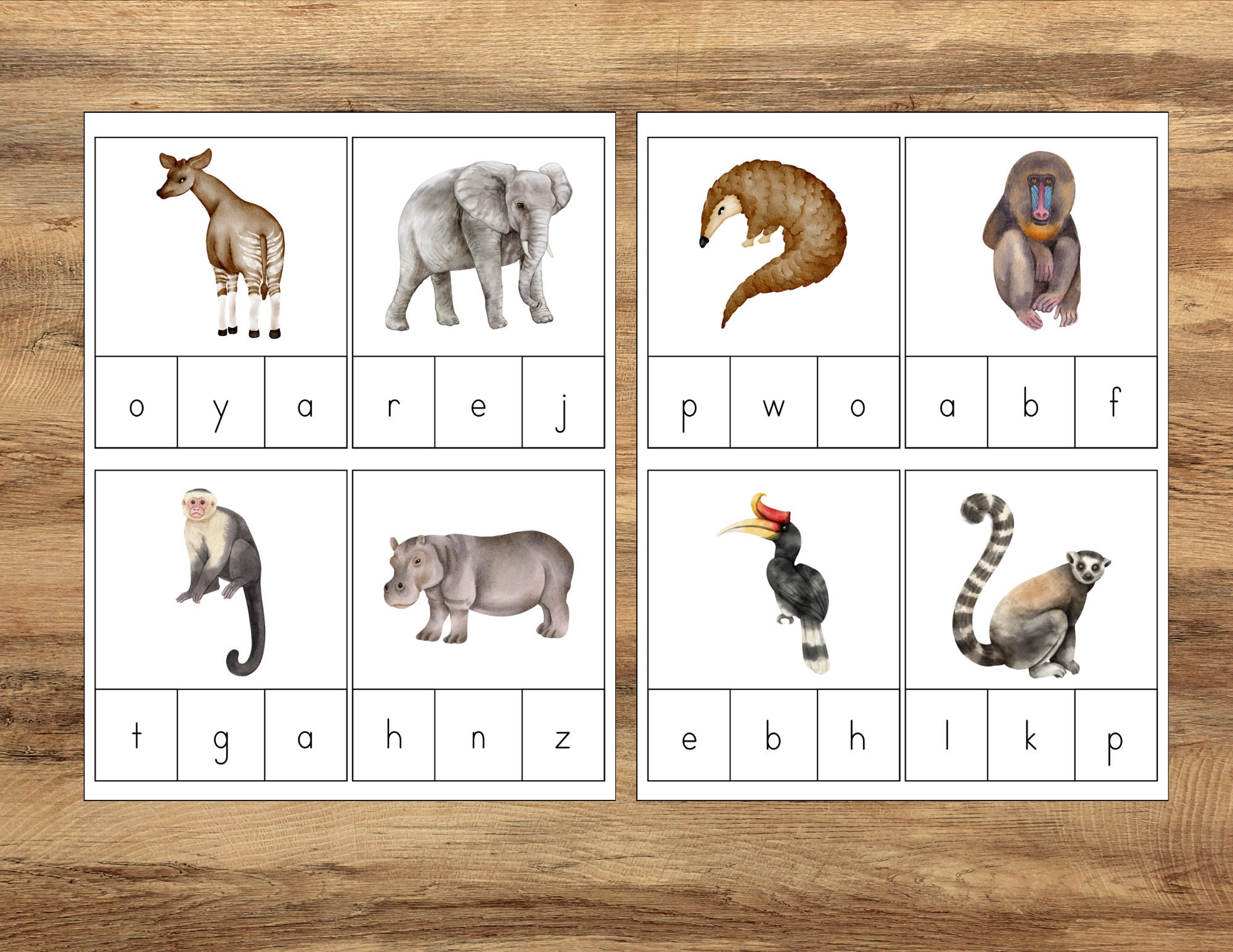 Jungle Wildlife Letter Clip Cards, Prek Kindergarten Learning Resources ...