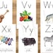 Alphabet Flashcards, Classroom Decor, Preschool Early Learning Resource ...