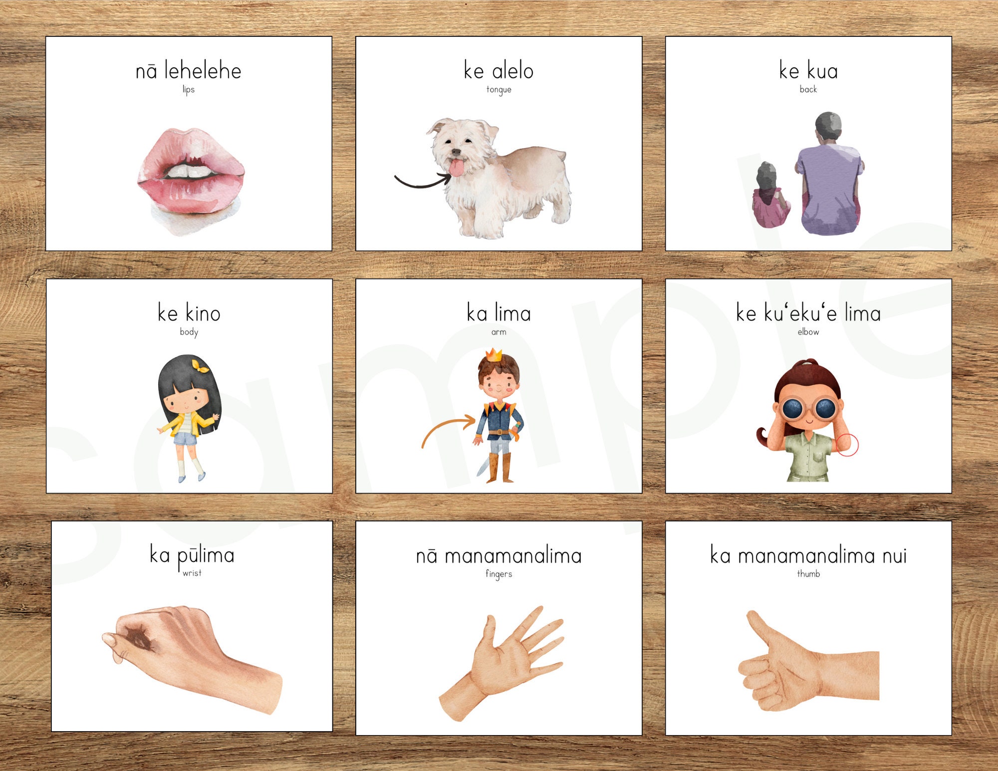Hawaiian 'anatomy' Flashcards, Hawaiian Language Resources, Learn ...