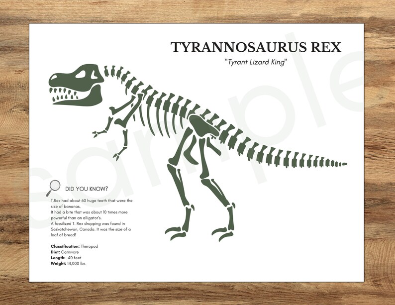 Dinosaur Fossil Building Activity, Dinosaur Crafts and Activities ...