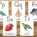 Alphabet Flashcards, Classroom Decor, Preschool Early Learning Resource ...