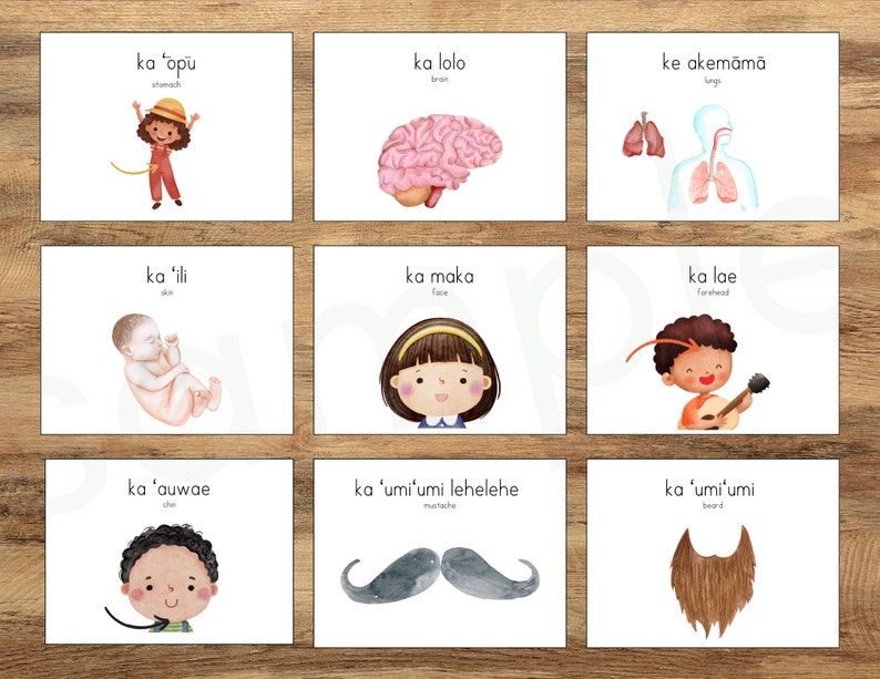 Hawaiian 'anatomy' Flashcards, Hawaiian Language Resources, Learn ...