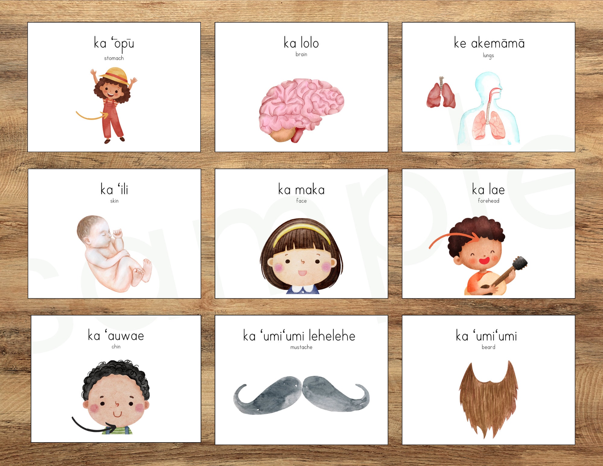 Hawaiian 'anatomy' Flashcards, Hawaiian Language Resources, Learn ...