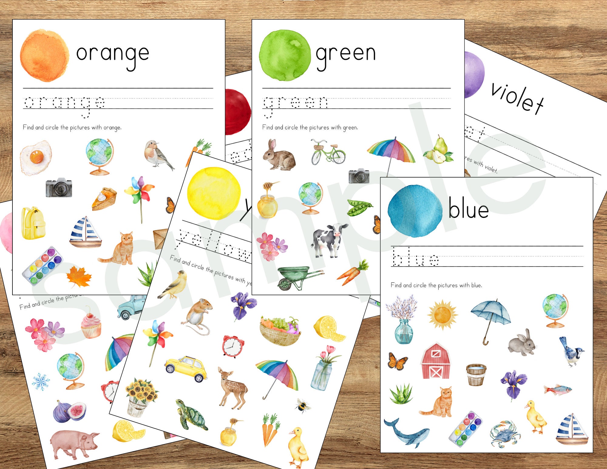 Color Theory Unit, Rainbow Unit Study, Primary Colors, Morning Binder ...