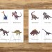 Dinosaur Diets Activity, Dinosaur Crafts and Activities, Kids ...