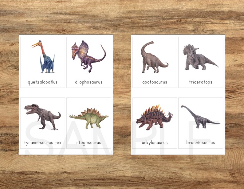 Dinosaur Diets Activity, Dinosaur Crafts and Activities, Kids ...