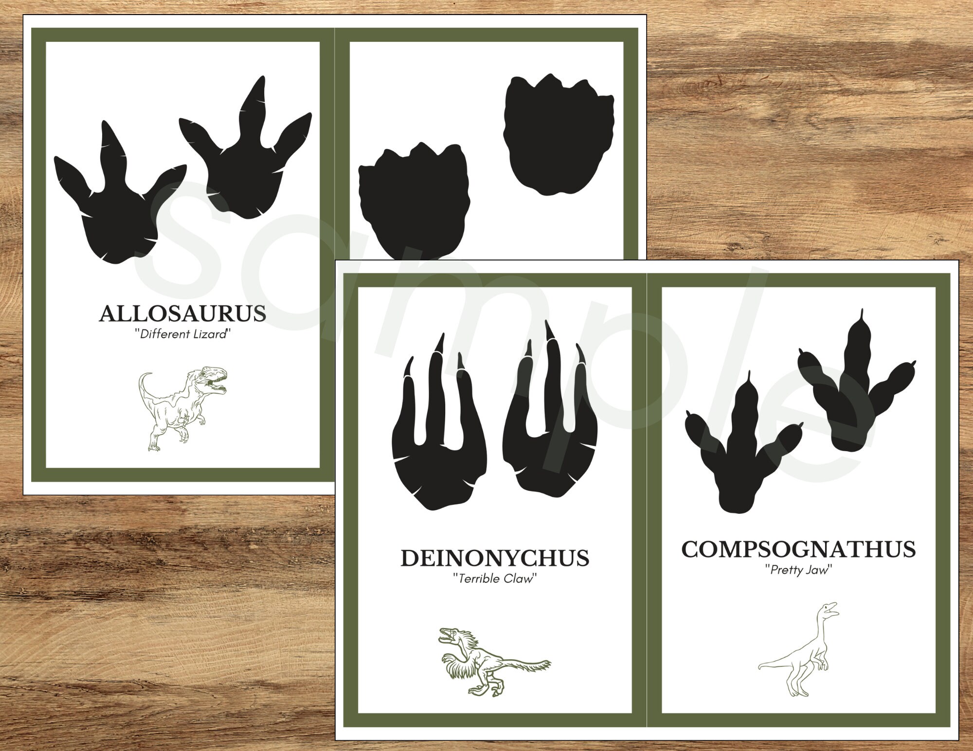 Dinosaur Footprint ID Cards, Dinosaur Activity, Kid Paleontology ...