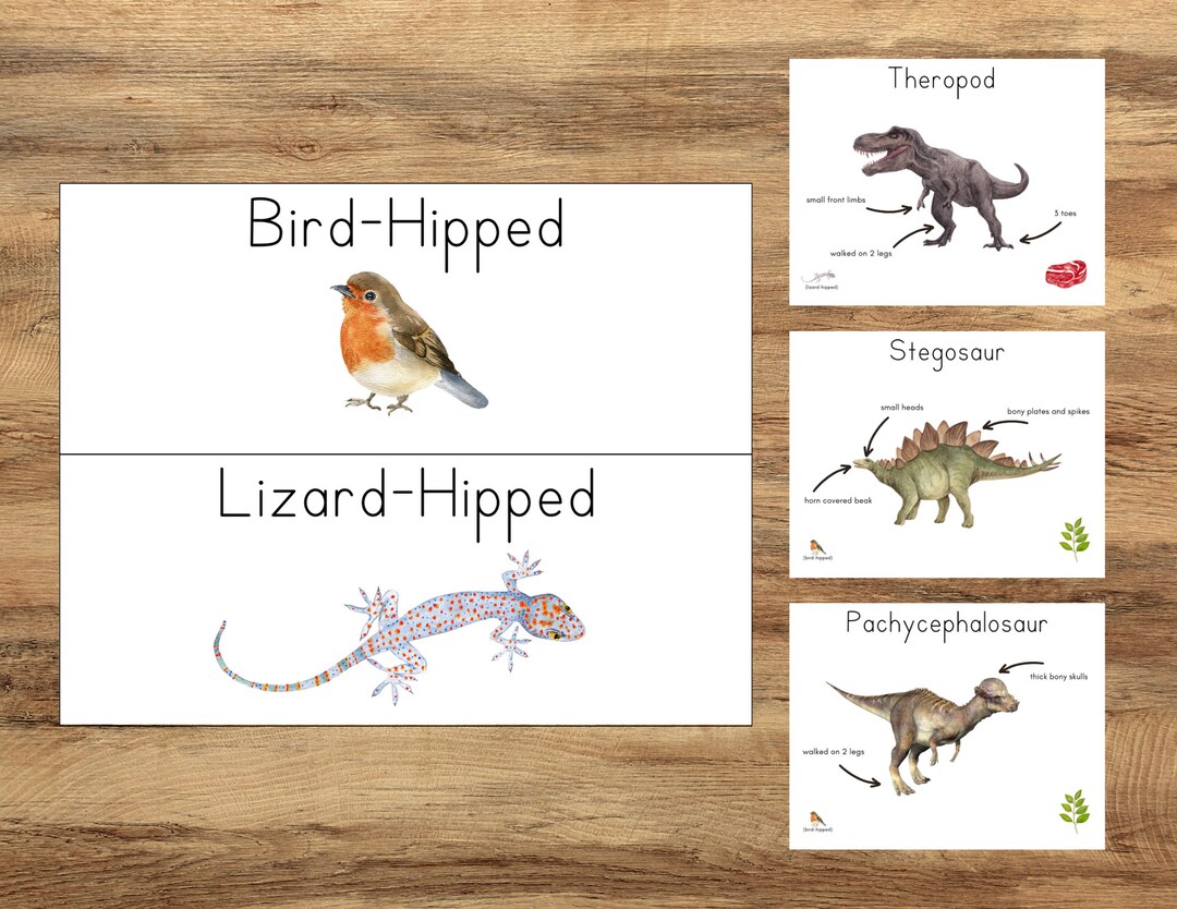 Dinosaur Classification Activity, Dinosaur Crafts and Activities, Kids ...