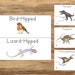Dinosaur Classification Activity, Dinosaur Crafts and Activities, Kids ...