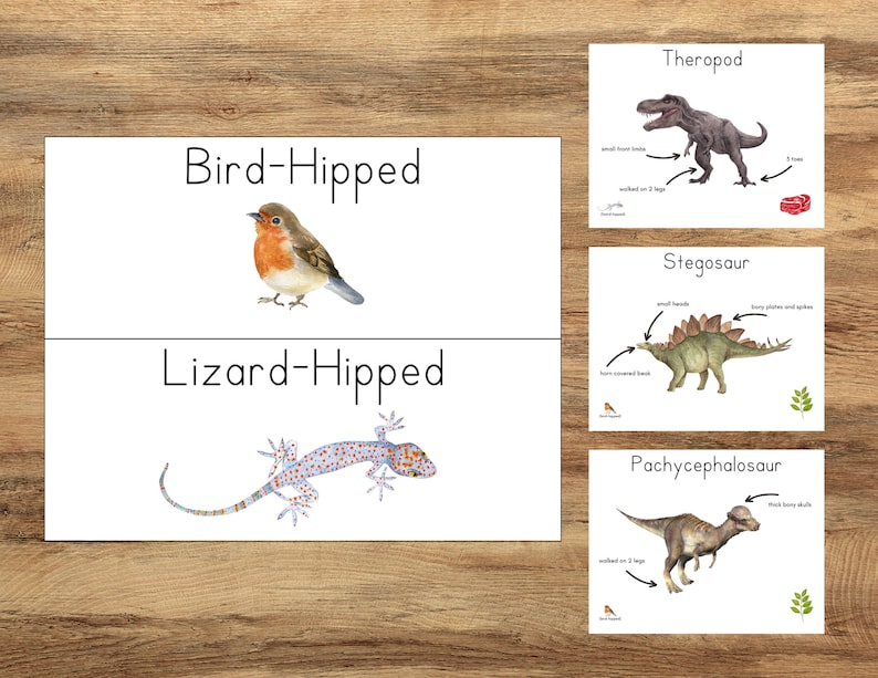 Dinosaur Classification Activity, Dinosaur Crafts and Activities, Kids ...