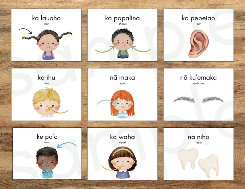 Hawaiian 'anatomy' Flashcards Hawaiian Language - Etsy