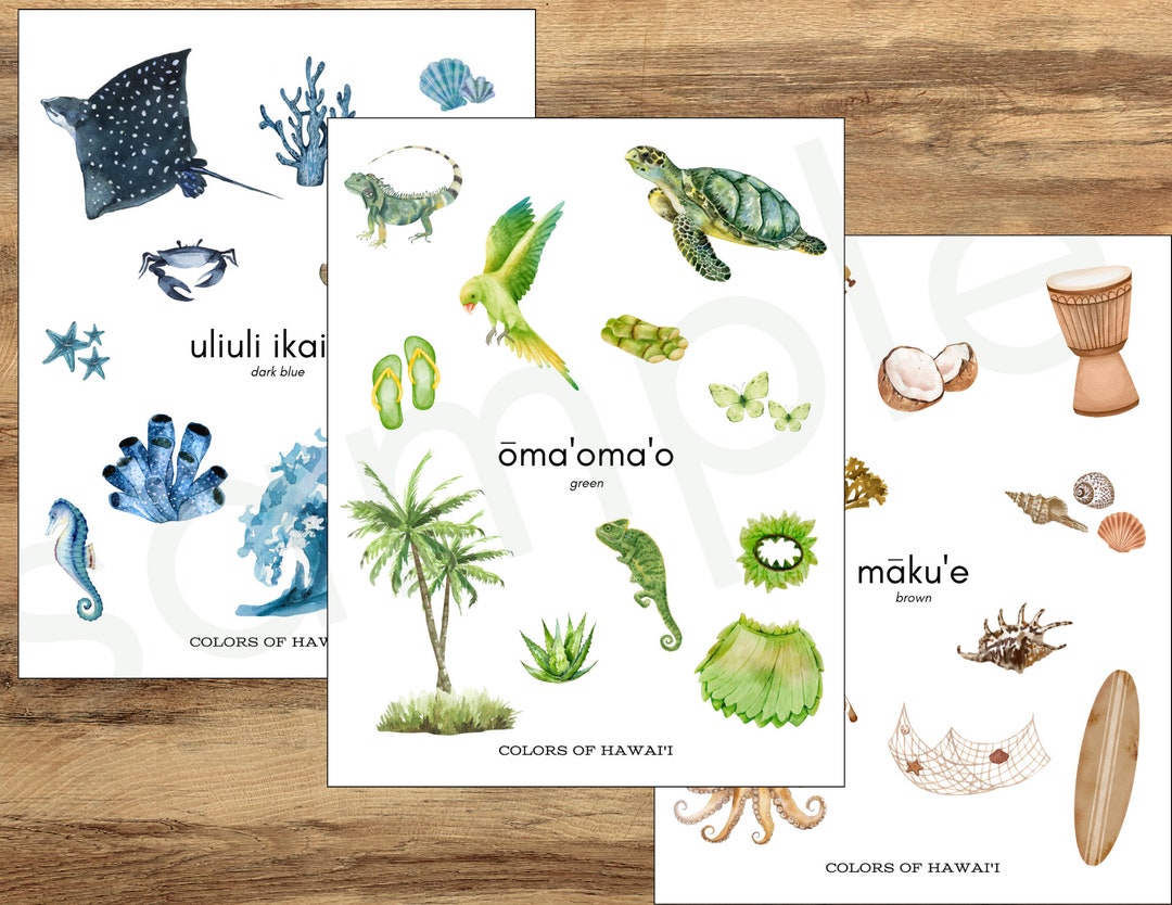 Hawaiian Color Flashcards Colors of Hawai'i Learn - Etsy