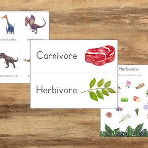 Dinosaur Diets Activity, Dinosaur Crafts and Activities, Kids ...