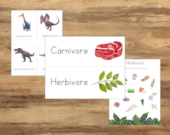 Fossil Excavation Activity, Kids Paleontology, Dinosaur Resources ...