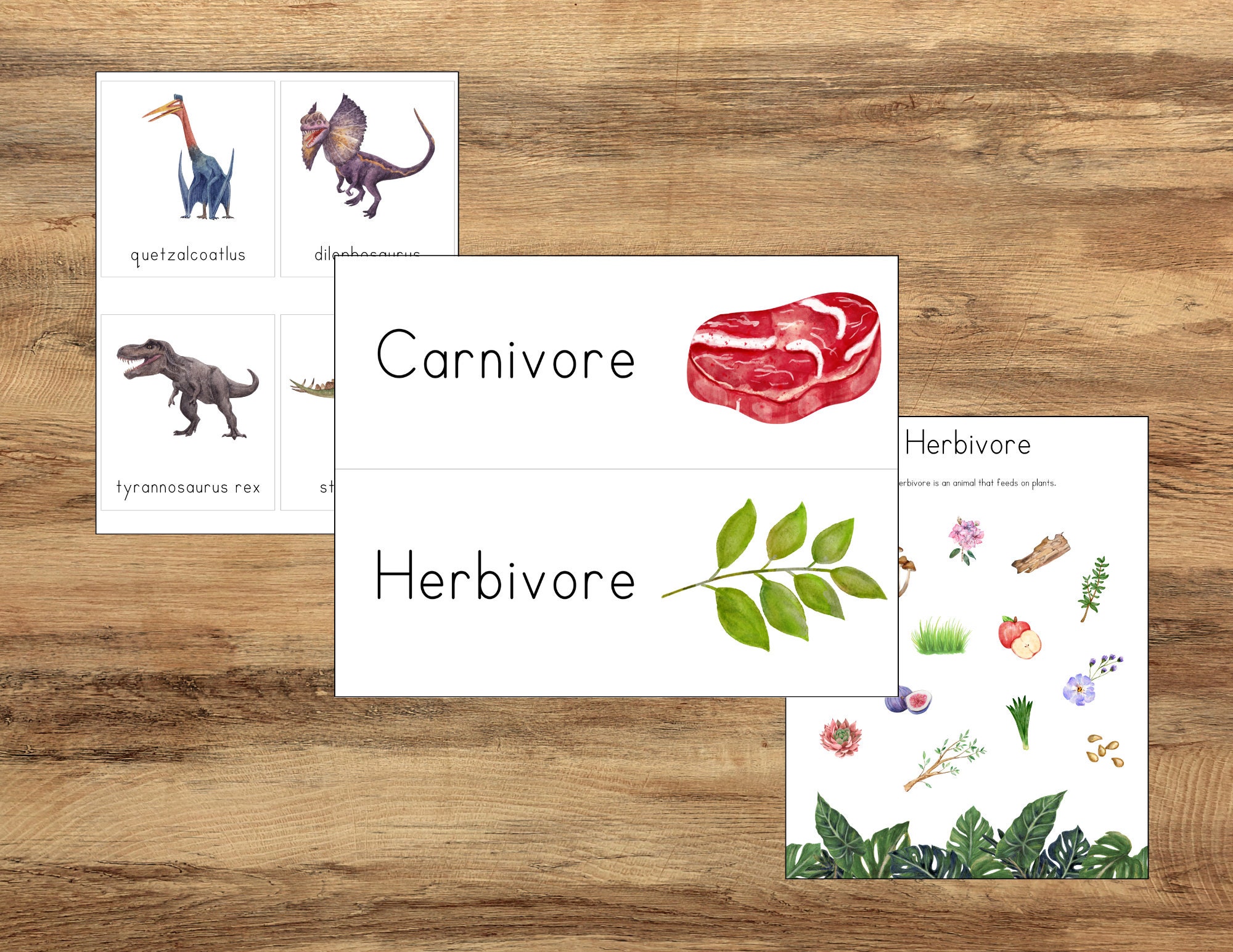 Dinosaur Diets Activity, Dinosaur Crafts and Activities, Kids ...