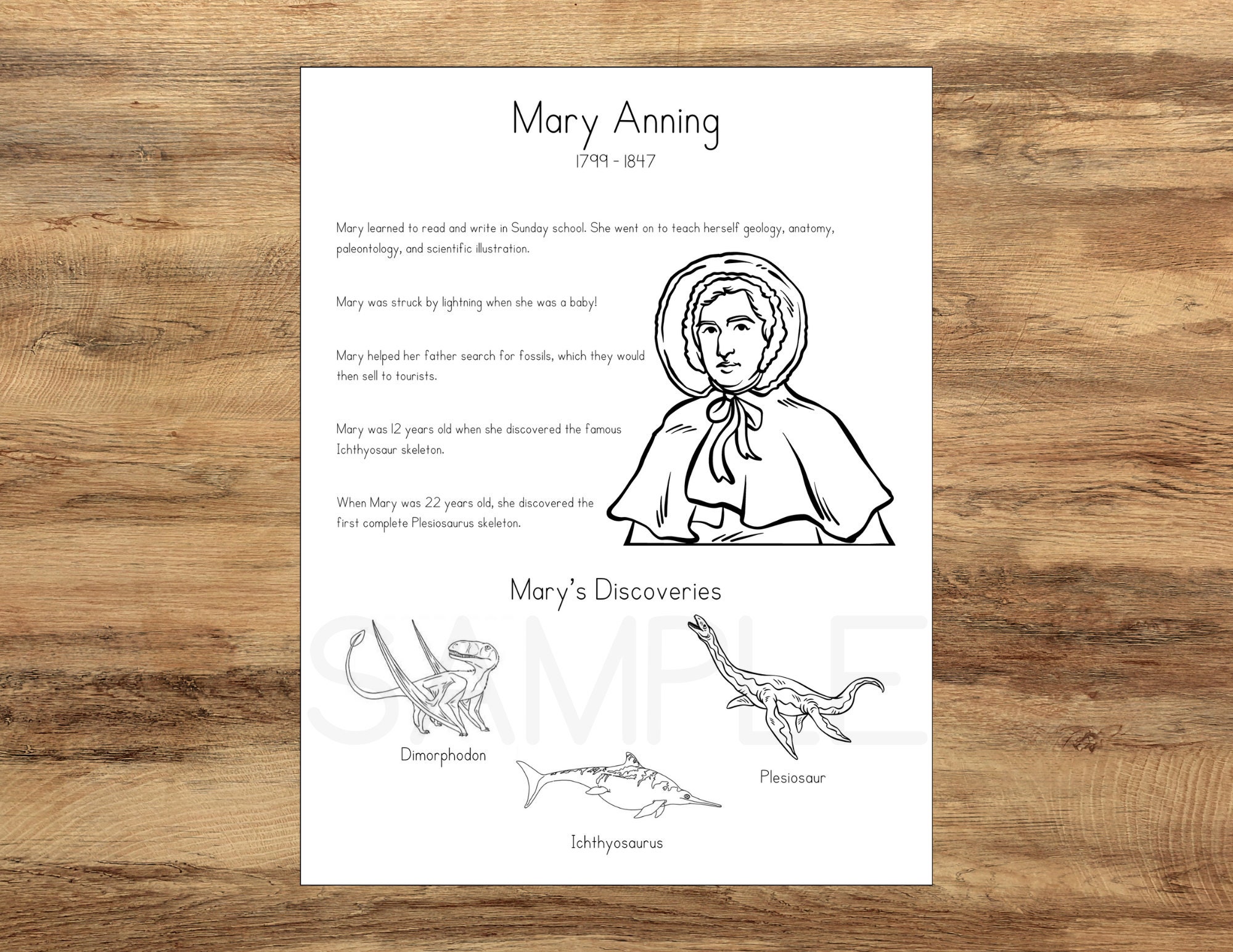 Paleontologist Mary Anning, Dinosaur Crafts and Activities, Kids ...