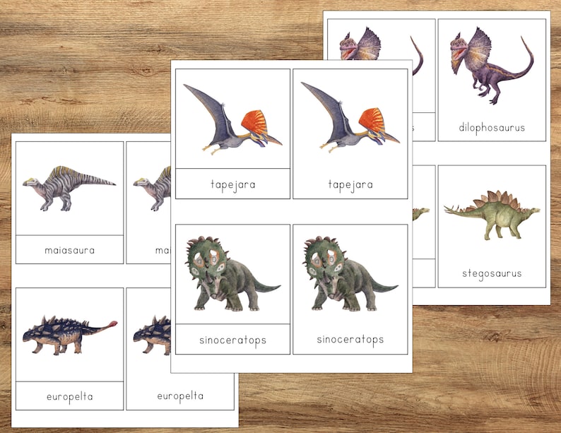 Dinosaur '3-part Cards', Prek Kindergarten Learning, Learning Resource ...