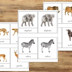 Savanna Wildlife 3-part Cards, Prek Kindergarten Learning, Learning ...