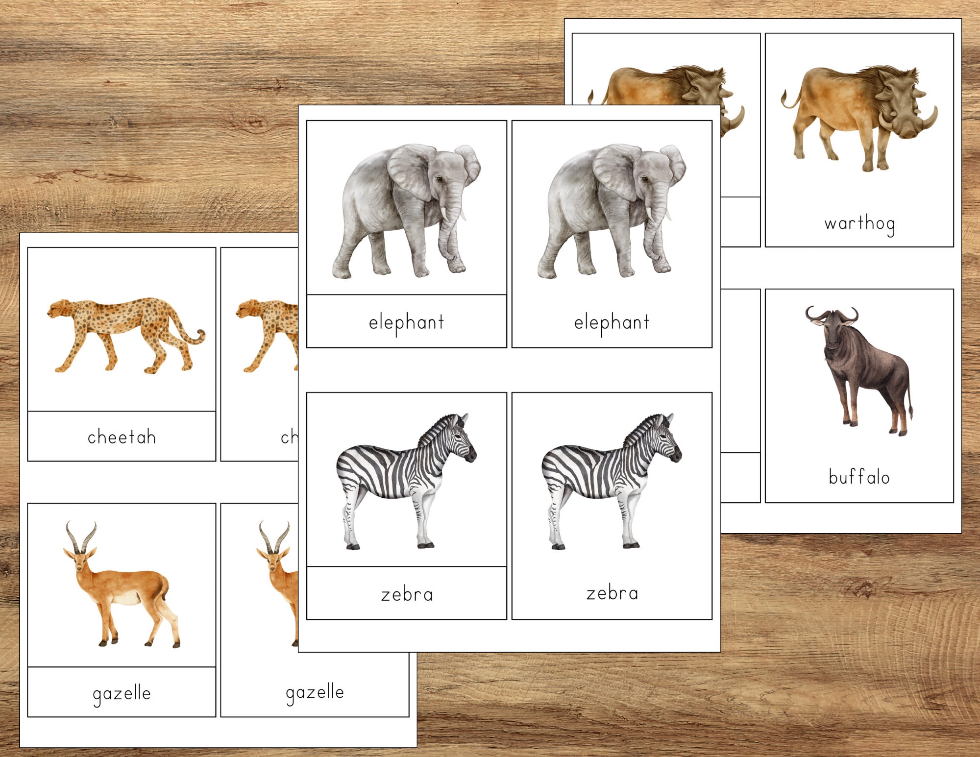 Savanna Wildlife 3-part Cards, Prek Kindergarten Learning, Learning ...