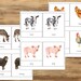 Farm Animal 3-part Cards, Prek Kindergarten Learning, Learning Resource ...
