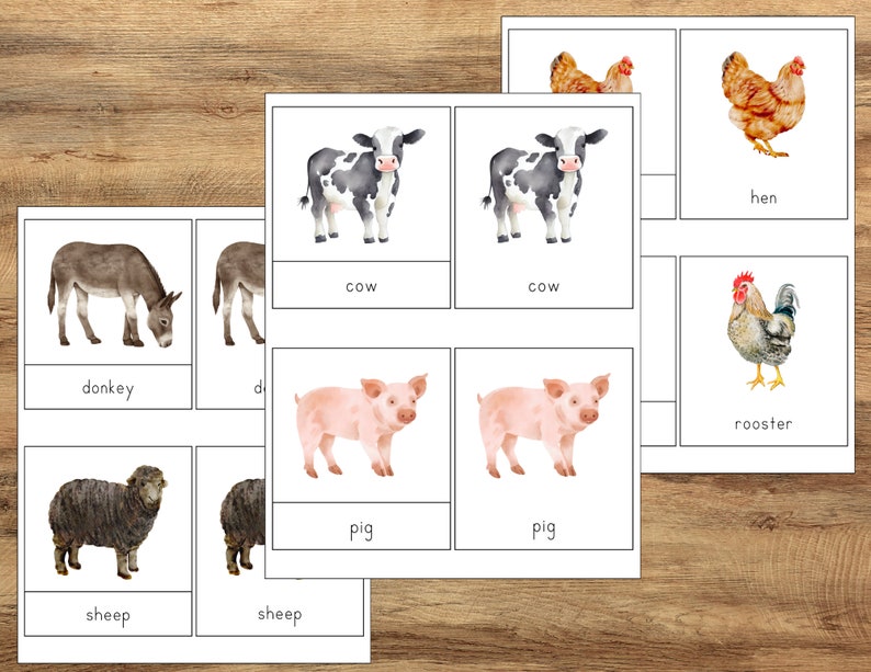 Farm Animal 3-part Cards, Prek Kindergarten Learning, Learning Resource ...