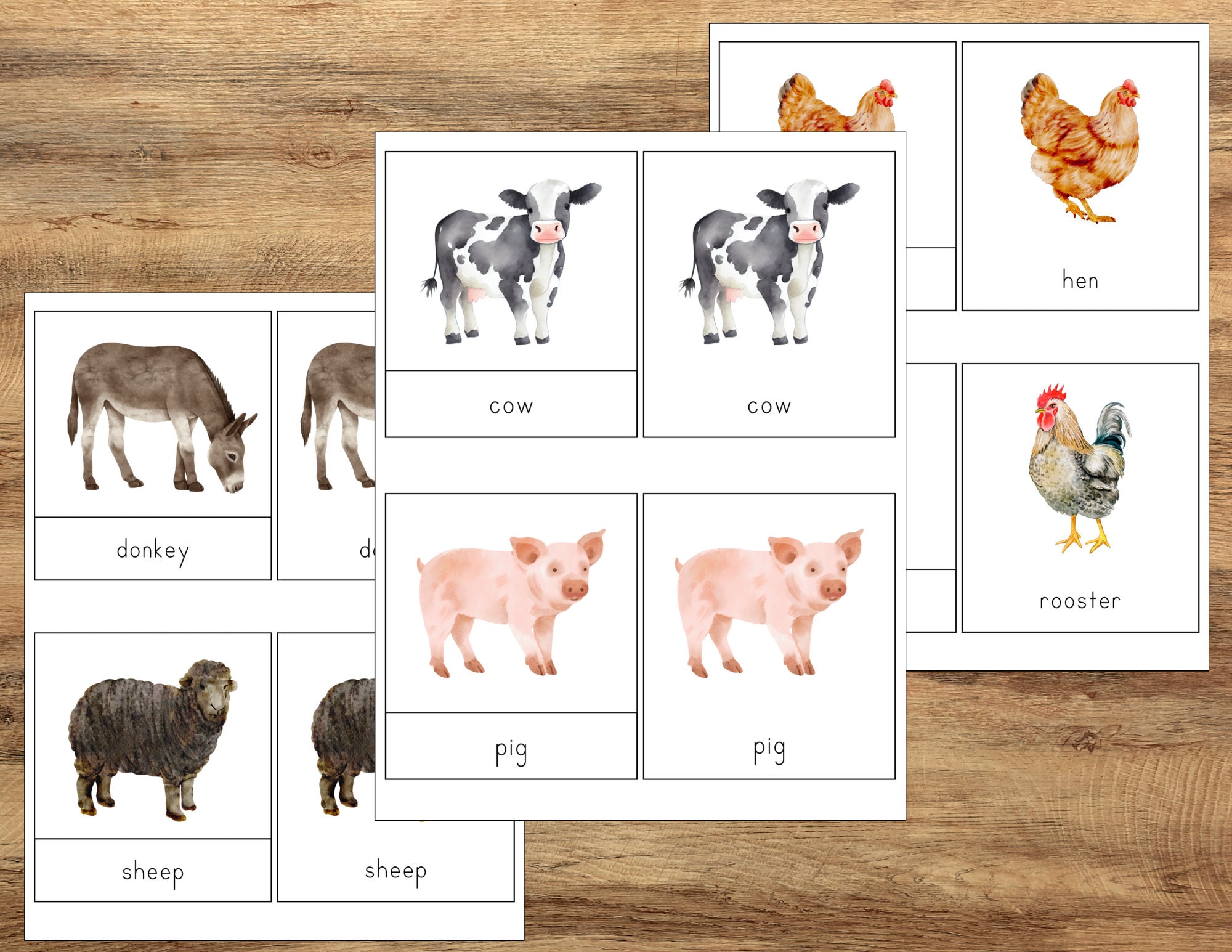 Farm Animal 3-part Cards, Prek Kindergarten Learning, Learning Resource ...