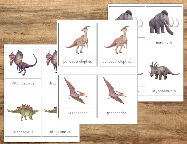 Dinosaur '3-part Cards', Prek Kindergarten Learning, Learning Resource ...