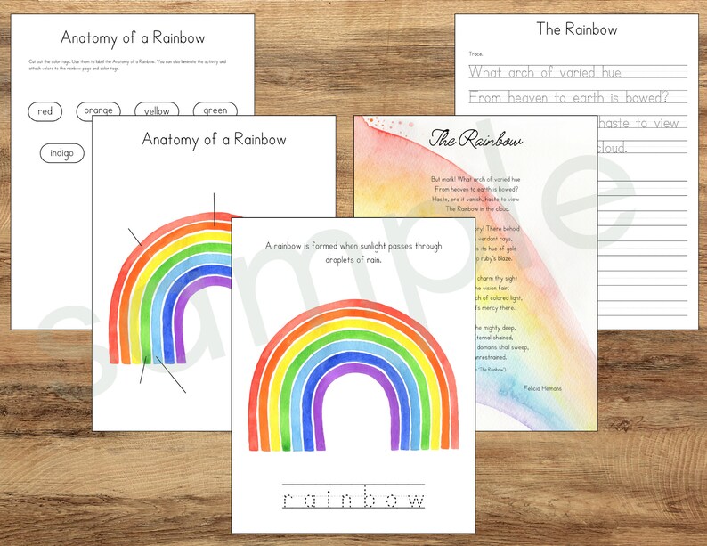 Color Theory Unit, Rainbow Unit Study, Primary Colors, Morning Binder ...