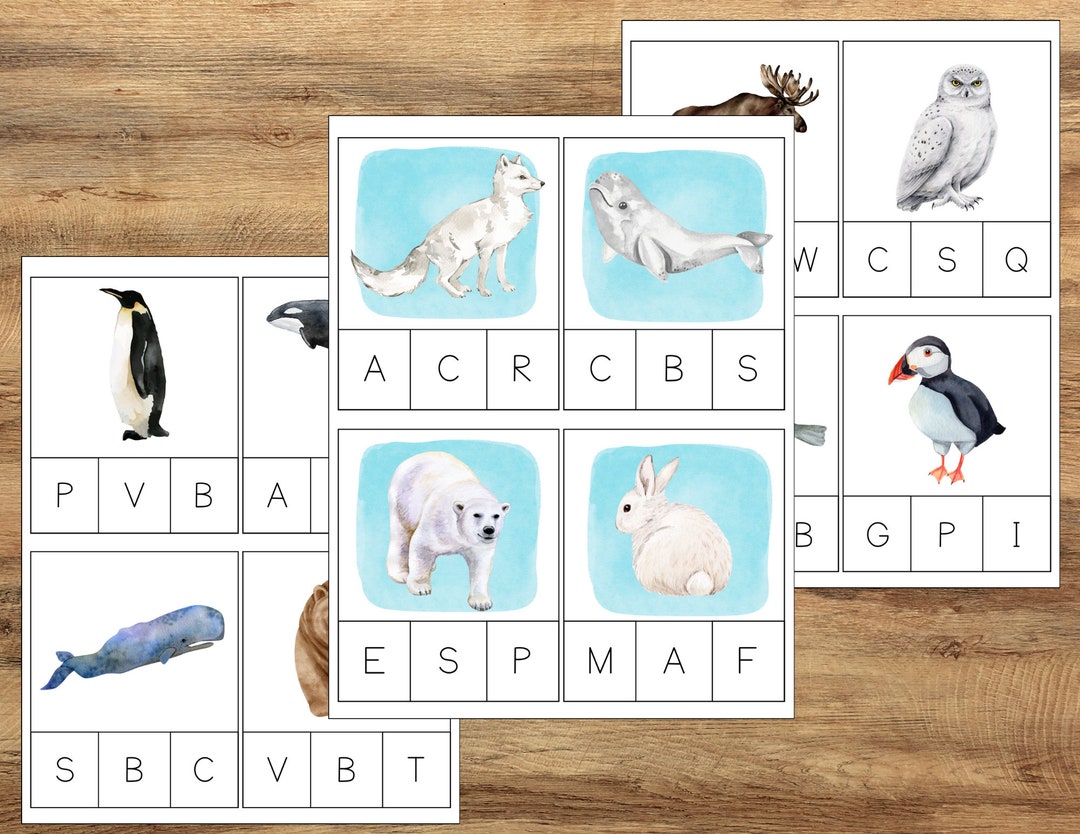 Arctic Wildlife Letter Clip Cards, Prek Kindergarten Learning Resources ...