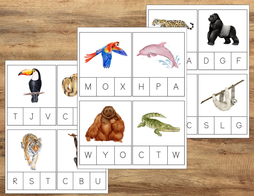 Jungle Wildlife Letter Clip Cards, Prek Kindergarten Learning Resources ...