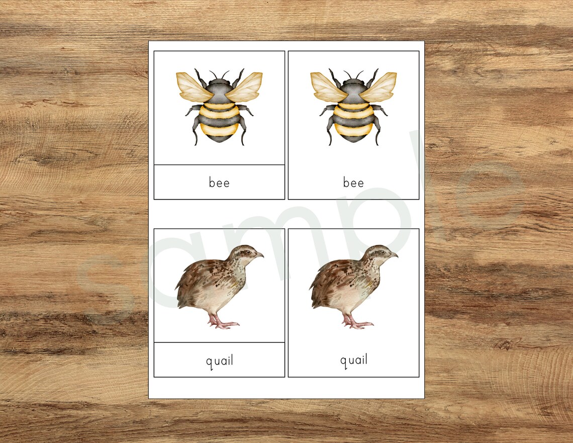 Farm Animal 3-part Cards, Prek Kindergarten Learning, Learning Resource ...