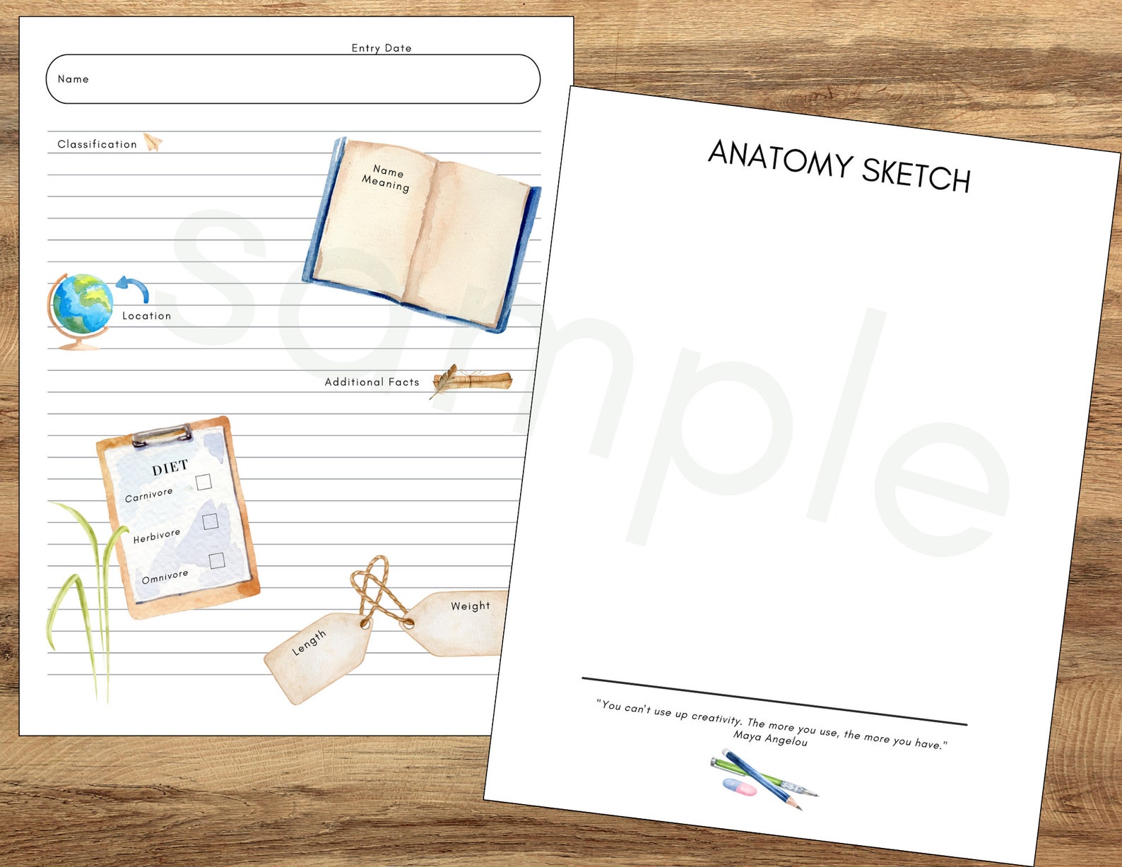 Dinosaur Field Guide, Paleontology Journal, Fossil Discovery, Kids ...