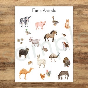 Farm Animal 3-part Cards, Prek Kindergarten Learning, Learning Resource ...