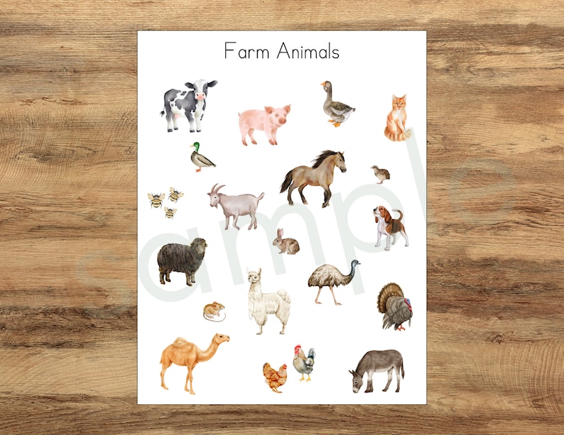Farm Animal 3-part Cards, Prek Kindergarten Learning, Learning Resource ...