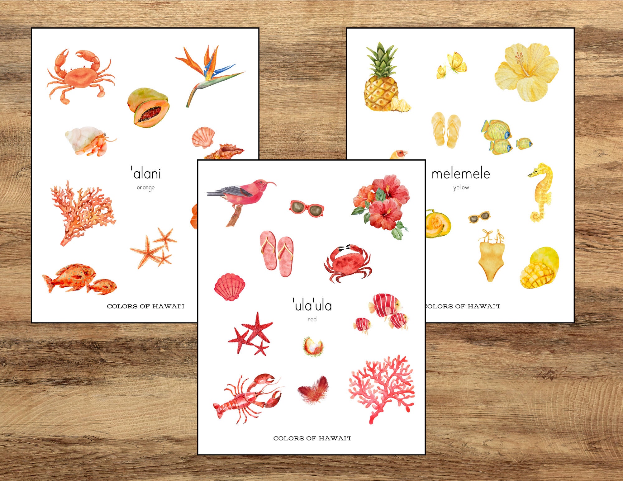 Hawaiian Color Flashcards, Colors of Hawai'i, Learn Hawaiian, Hawaiian ...