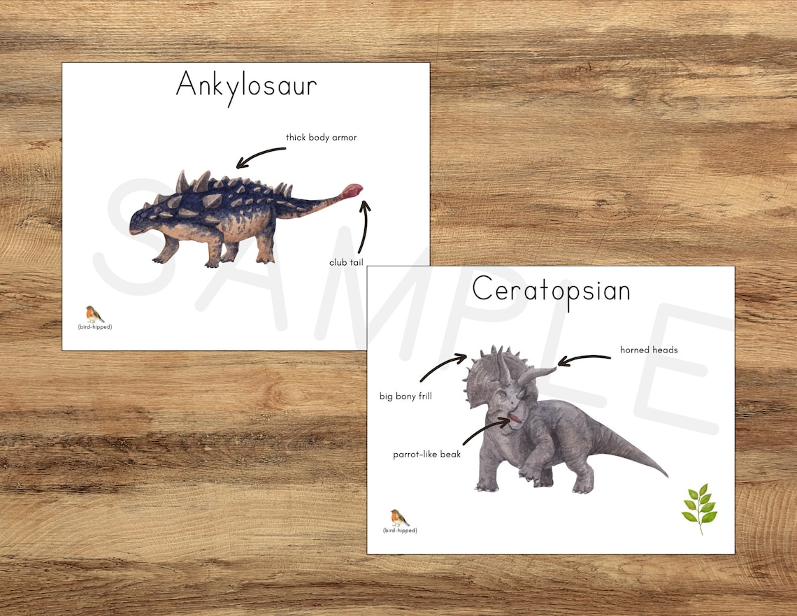 Dinosaur Classification Activity, Dinosaur Crafts and Activities, Kids ...