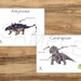 Dinosaur Classification Activity, Dinosaur Crafts and Activities, Kids ...