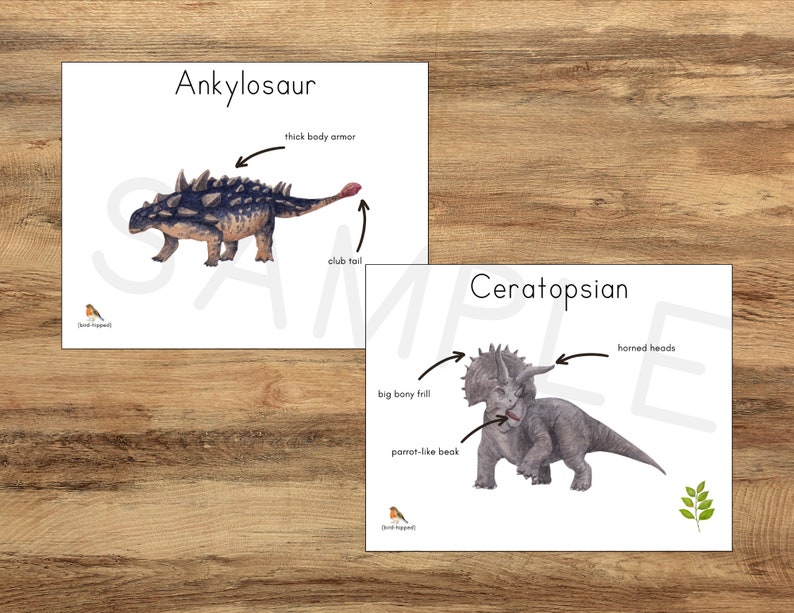 Dinosaur Classification Activity, Dinosaur Crafts and Activities, Kids ...