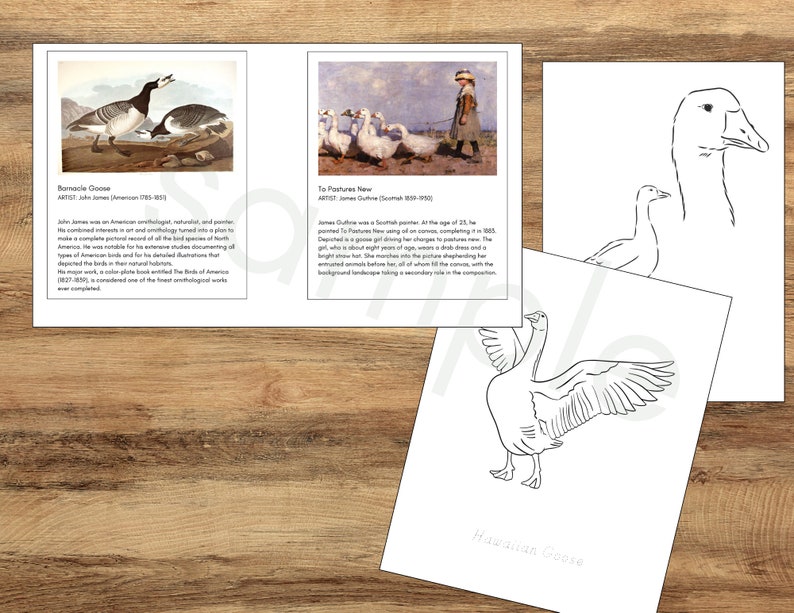 Nēnē (hawaiian Goose) Unit Study, Wildlife of Hawaii, Hawaiian ...