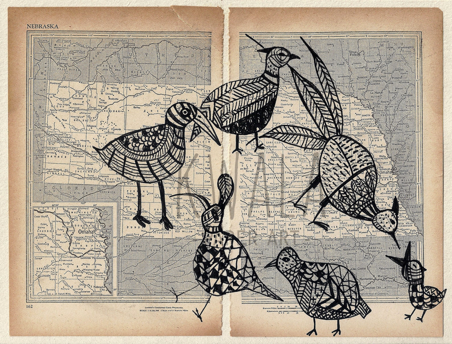 Flying Birds Wall Art Maps Collectors Atlas Collectors Maps - Etsy