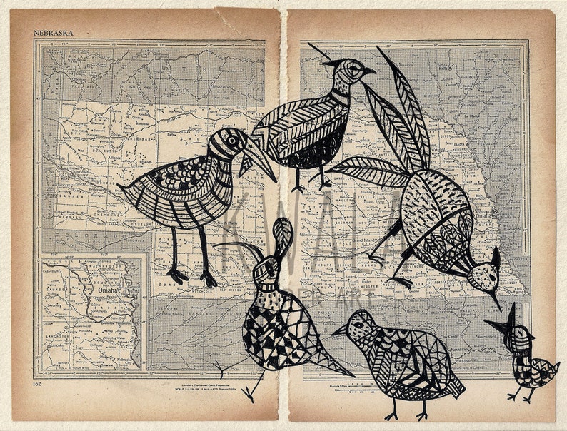 Flying Birds Wall Art Maps Collectors Atlas Collectors Maps - Etsy