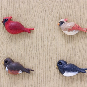 Mini Wild Bird Push Pin Set - Etsy