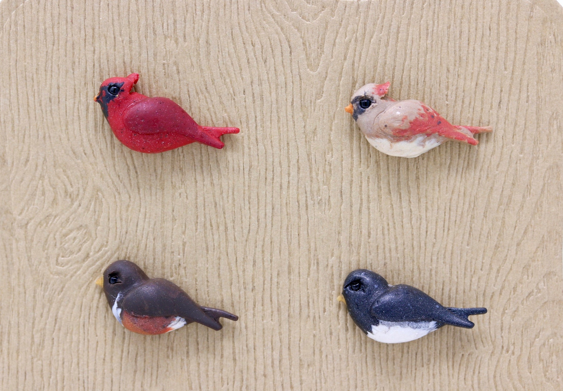 Mini Wild Bird Push Pin Set | Etsy
