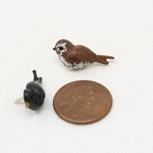 Mini Wild Bird Push Pin Set - Etsy