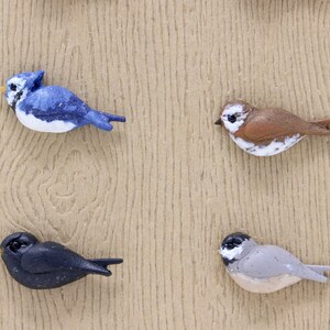 Mini Wild Bird Push Pin Set | Etsy
