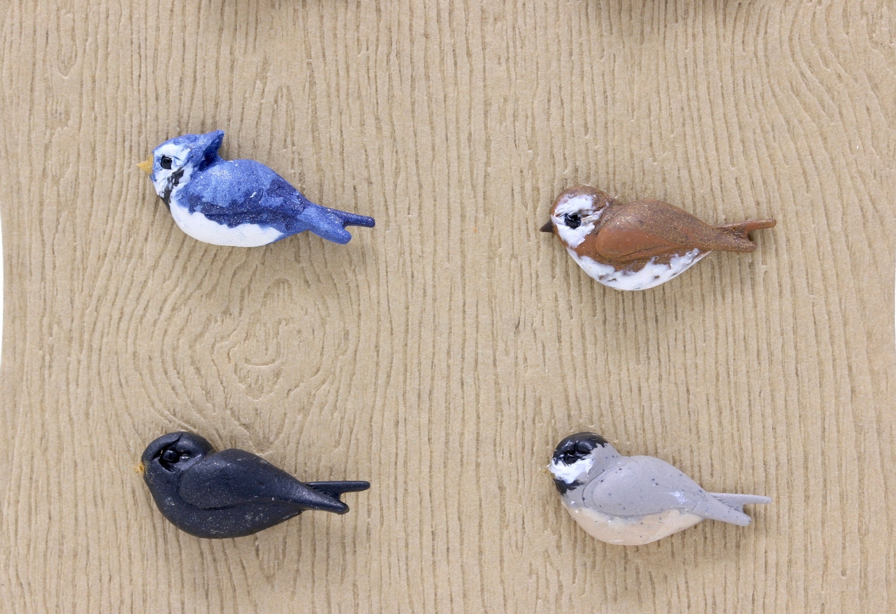 Mini Wild Bird Push Pin Set | Etsy