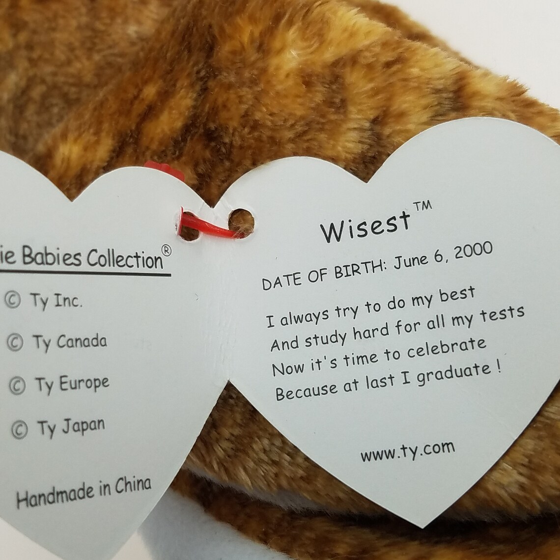 Ty Beanie Baby Wisest the Owl Class of '00 Graduation | Etsy